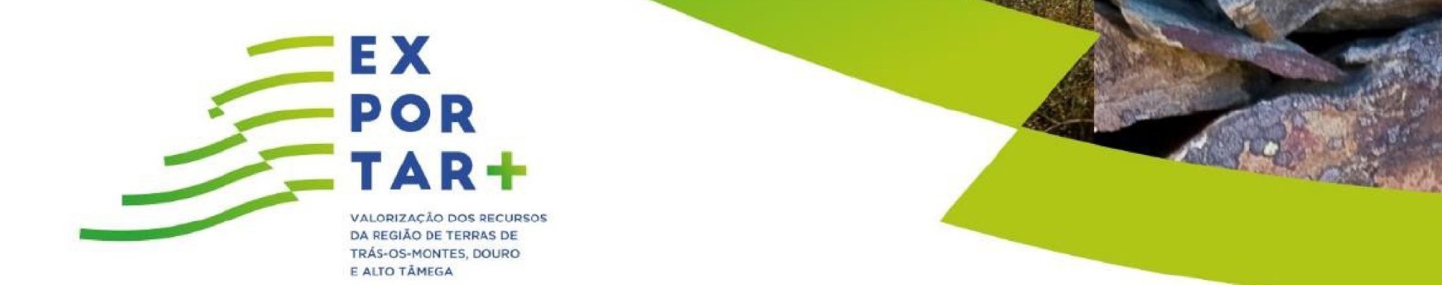 Exportar + – NERBA